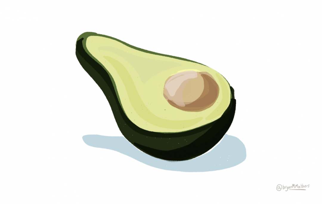 Avocado - Visual Thinkery - Stories and Cartoons